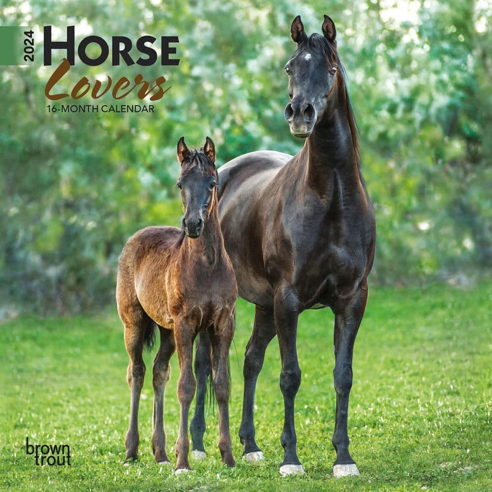 Horses 2024 Mini Wall Calendar